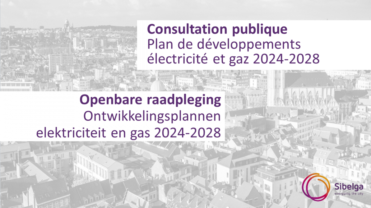 Consultation publique plans de développement électricité et gaz 2024 ...
